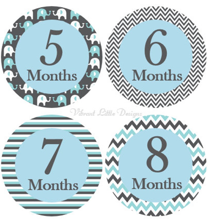 Baby Boy Monthly Stickers Milestone Stickers Month Stickers | Etsy