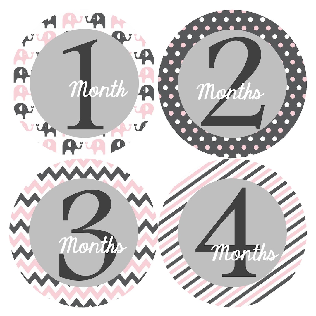 PRINTABLE INSTANT DOWNLOAD Pink Elephant Baby Onesie® Milestone ...
