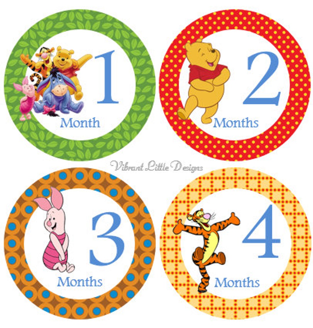 Monthly Baby Stickers Boy Girl Milestone Stickers Month to - Etsy
