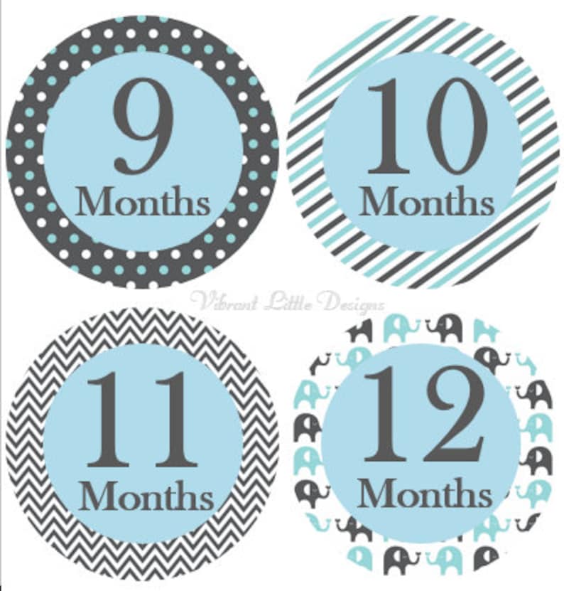 Baby Boy Monthly Stickers Milestone Stickers Month Stickers | Etsy