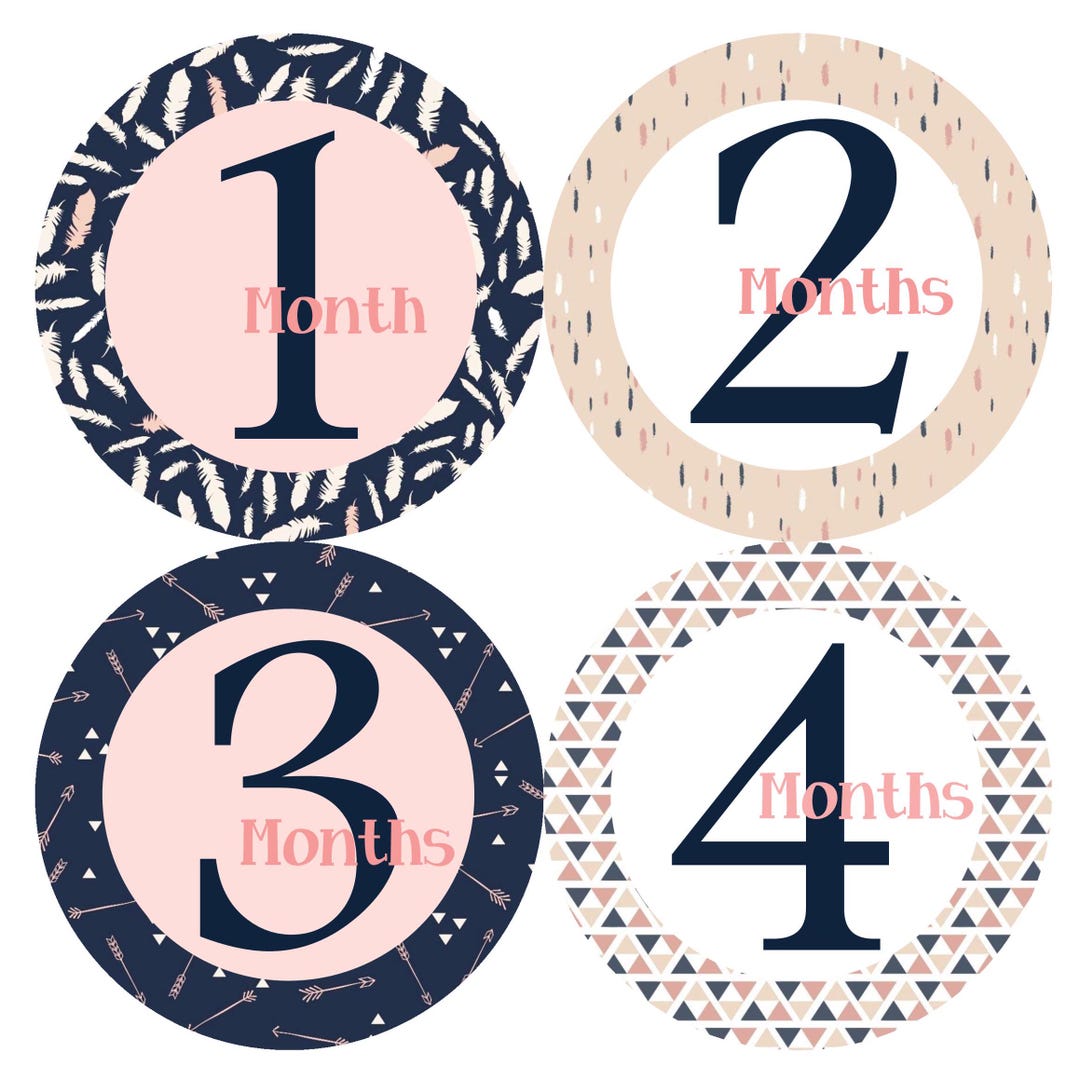 PRINTABLE INSTANT DOWNLOAD Pink & Navy Baby Onesie® Milestone Stickers ...