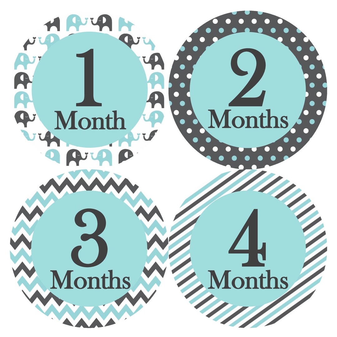 Baby Boy Monthly Stickers, Milestone Stickers, Month Stickers, Baby ...