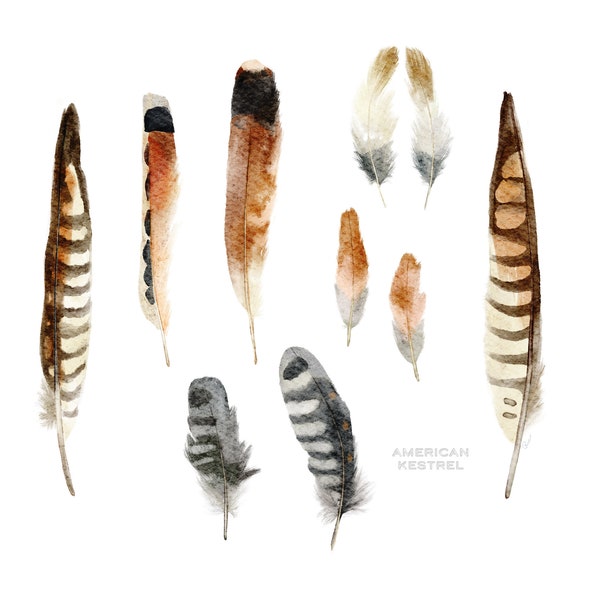 Feather Print - Etsy