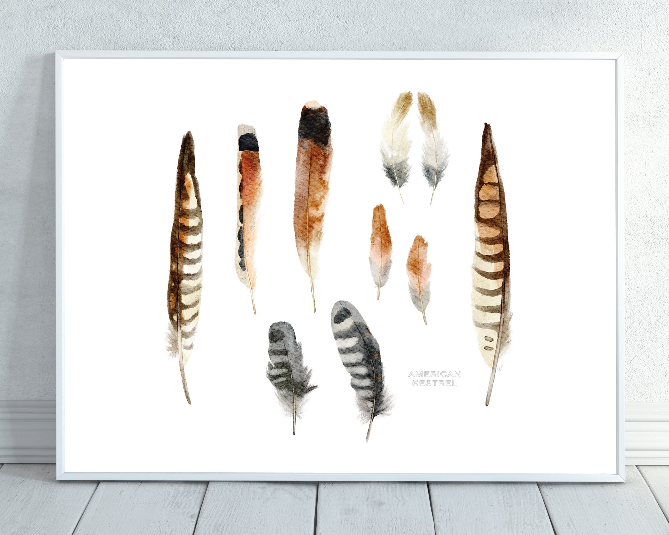 American Kestrel pluma halcón gorrión impresión de arte - Etsy España