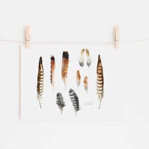 American Kestrel Feather, Sparrow Hawk, Art Print, Feather Watercolor ...