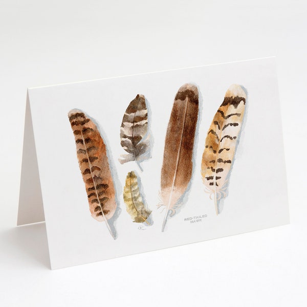 Hawk Feathers - Etsy