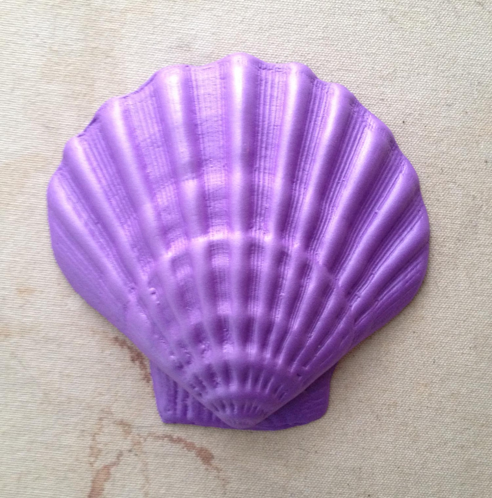 Foam Lion's Paw Mermaid Seashell Bra Covers - Etsy