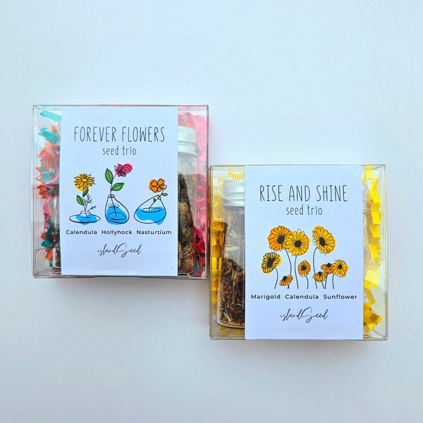 Flower Seed Gift Set - 60+ Gift Ideas for 2024