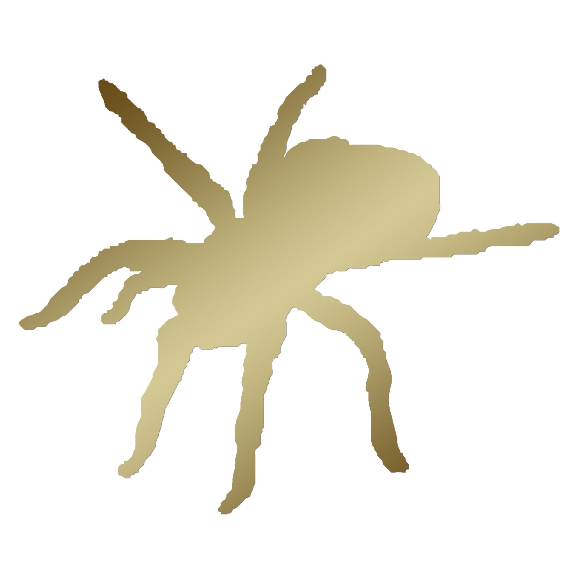 Spider Arachnid Tarantula Vinyl Decal Sticker 3 Sizes 9 | Etsy