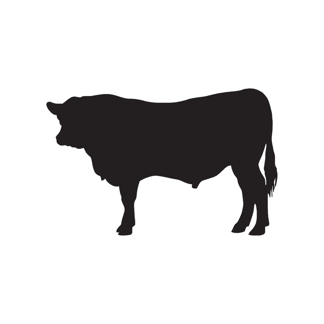 Angus Cow Bull - Vinyl Decal Sticker - 3 Sizes - 9 Solid Colors - Ebn53 ...