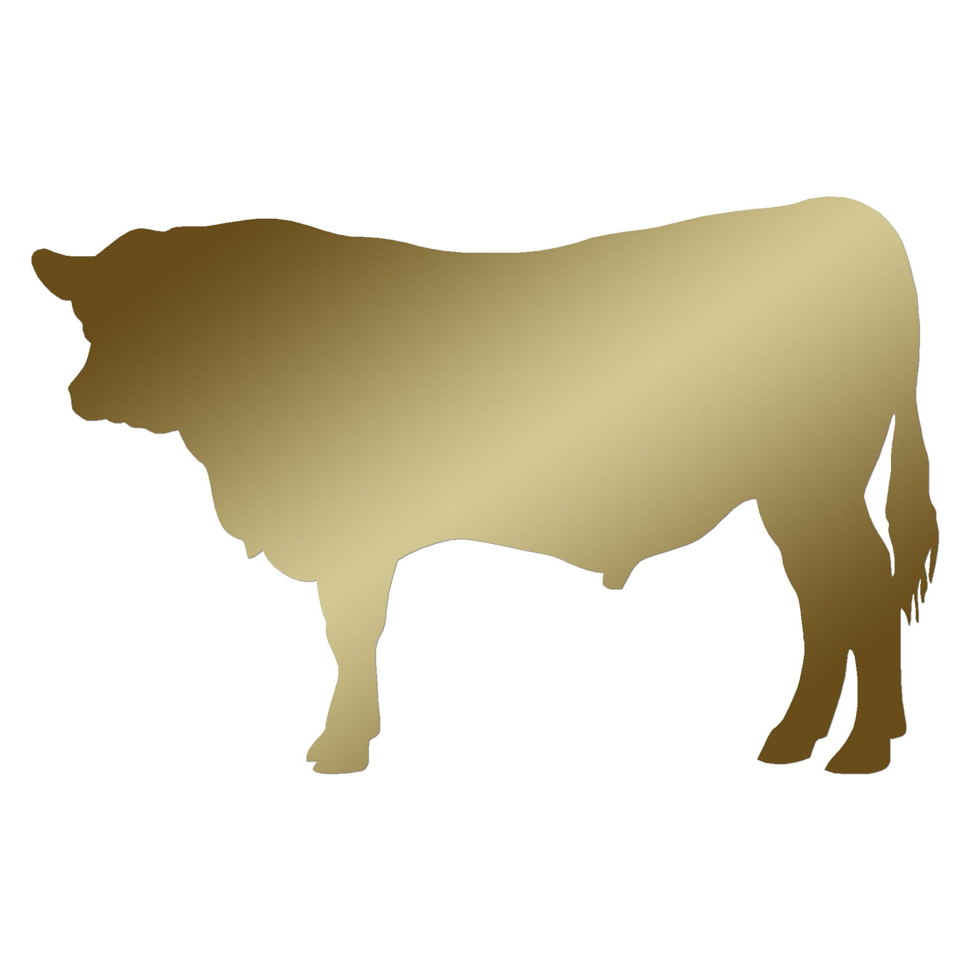 Angus Cow Bull Vinyl Decal Sticker 3 Sizes 9 Solid | Etsy