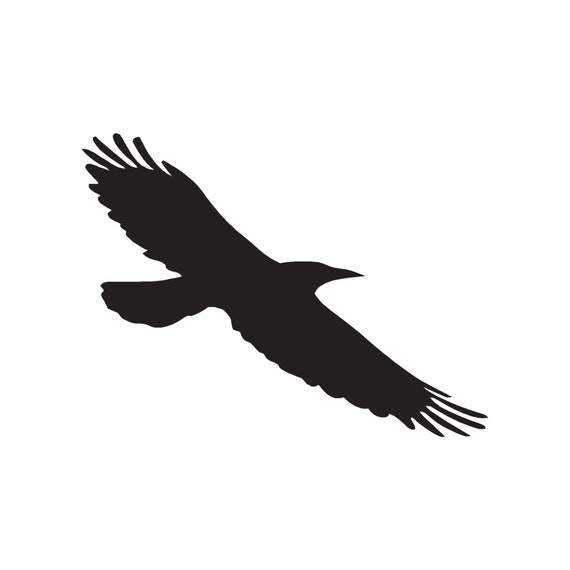 Flying Crow Bird Vinyl Decal Sticker 3 Sizes 9 Solid - Etsy