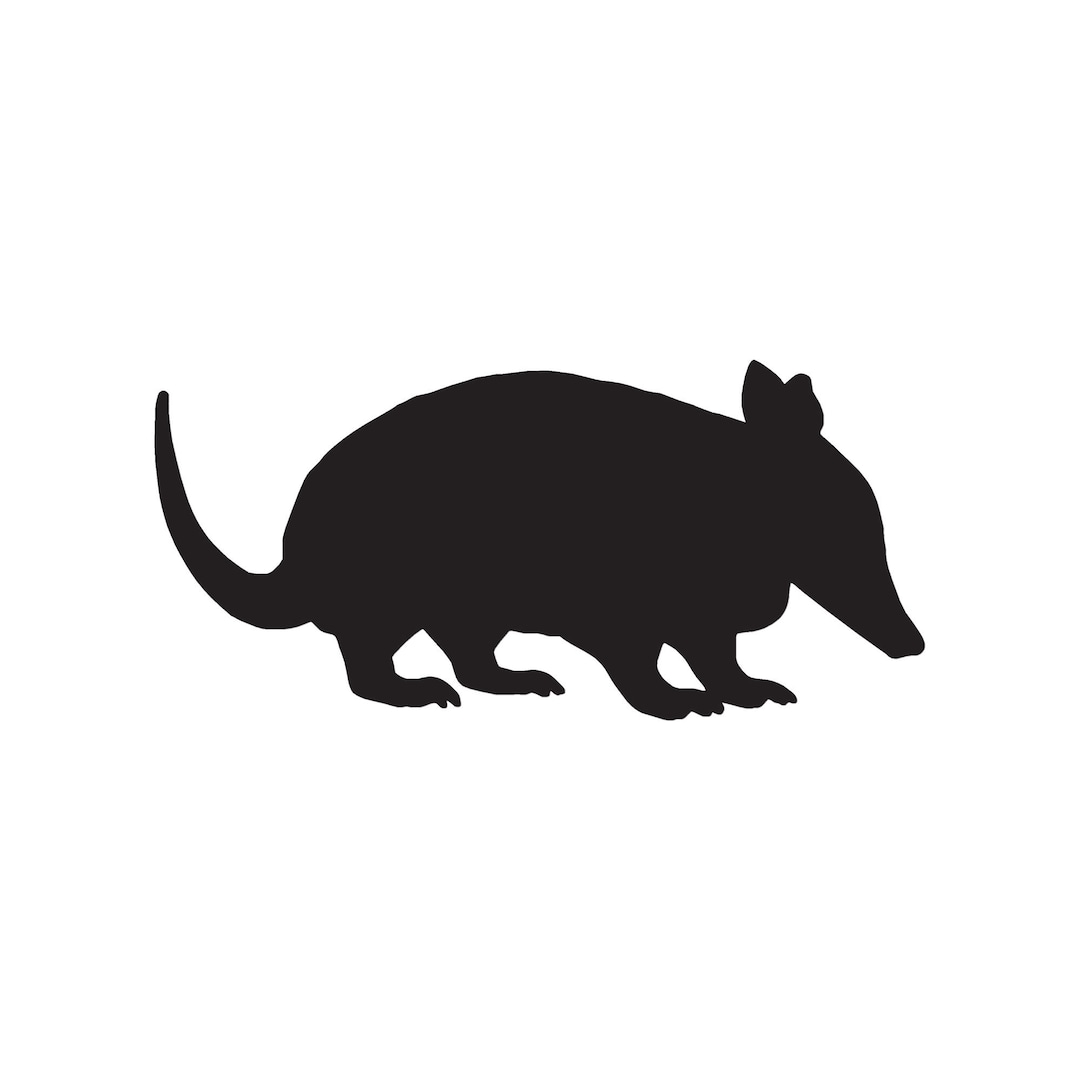 Armadillo - Vinyl Decal Sticker - 3 Sizes - 9 Solid Colors - Ebn66 - Etsy