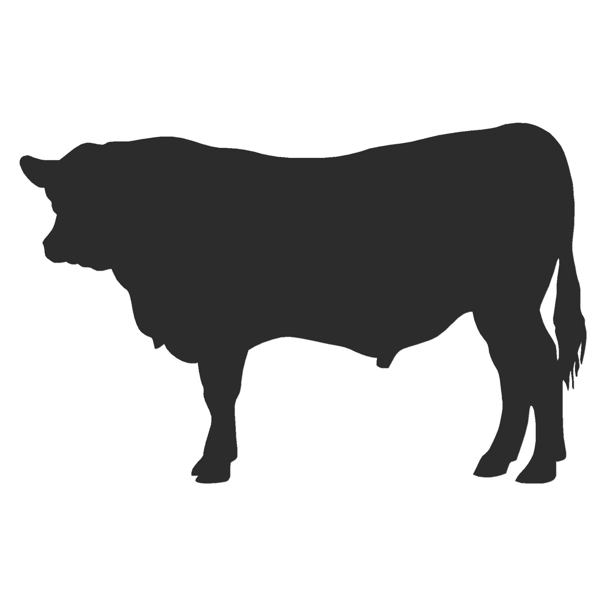 Angus Cow Bull Vinyl Decal Sticker 3 Sizes 9 Solid | Etsy