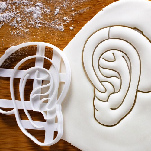 Anatomical Human Ear Cookie Cutter Cochlea Biscuit Cutter - Etsy UK