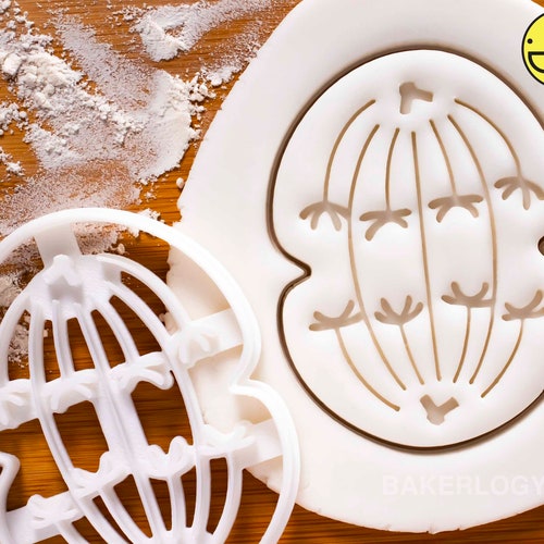 Mitosis Interphase Cookie Cutter Bakerlogy Biscuit Cutters - Etsy