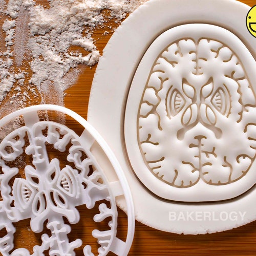 Brain Coronal Section Cookie Cutter Bakerlogy Biscuit - Etsy