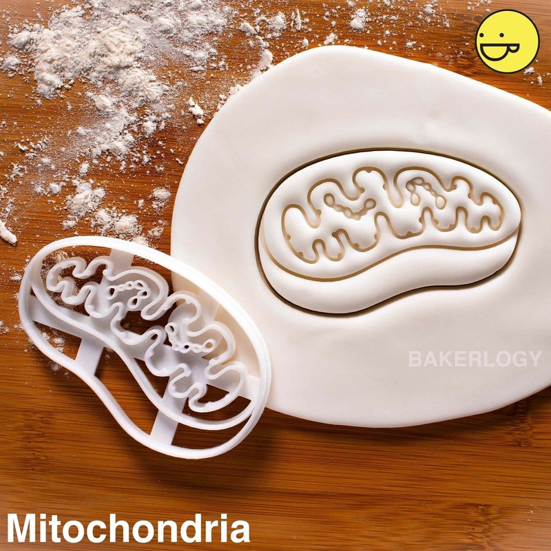 Bakerlogy - Etsy