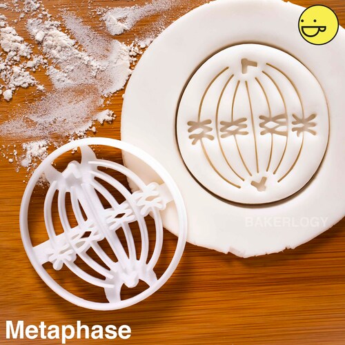 Bacteria Cookie Cutter Microbiology Biscuit Cutters - Etsy UK