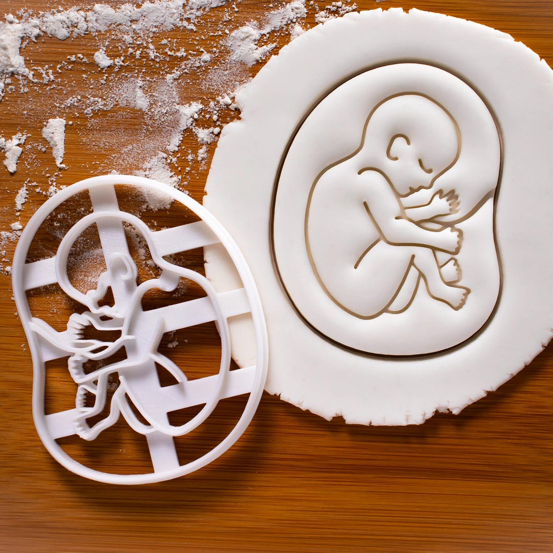 20-week Fetal Development Cookie Cutter | Bakerlogy Medicine Pregnancy ...