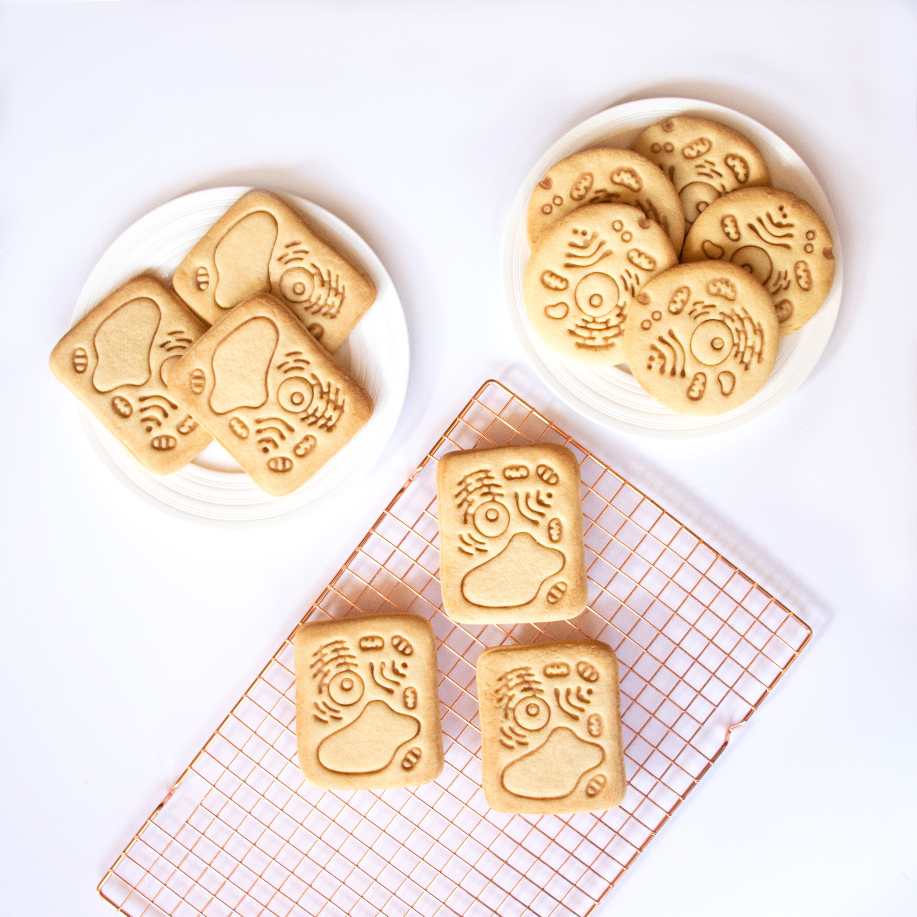 Plant Cell Cookie Cutter Biscuit Cutters Gifts Botanist | Etsy