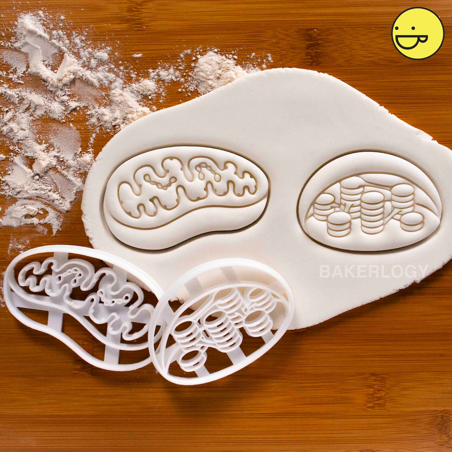 Mitochondria Cookie Cutter Bakerlogy Biscuit Cutters Mitochondrion ...