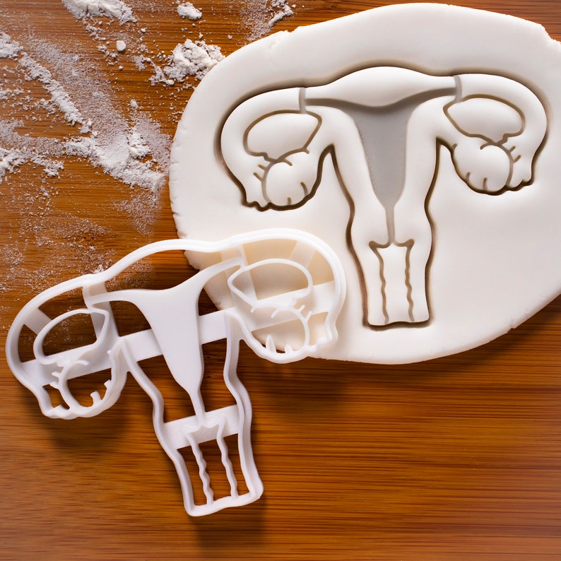 Penis Anatomy Cookie Cutter Sex Organ Biscuits Cookies Etsy