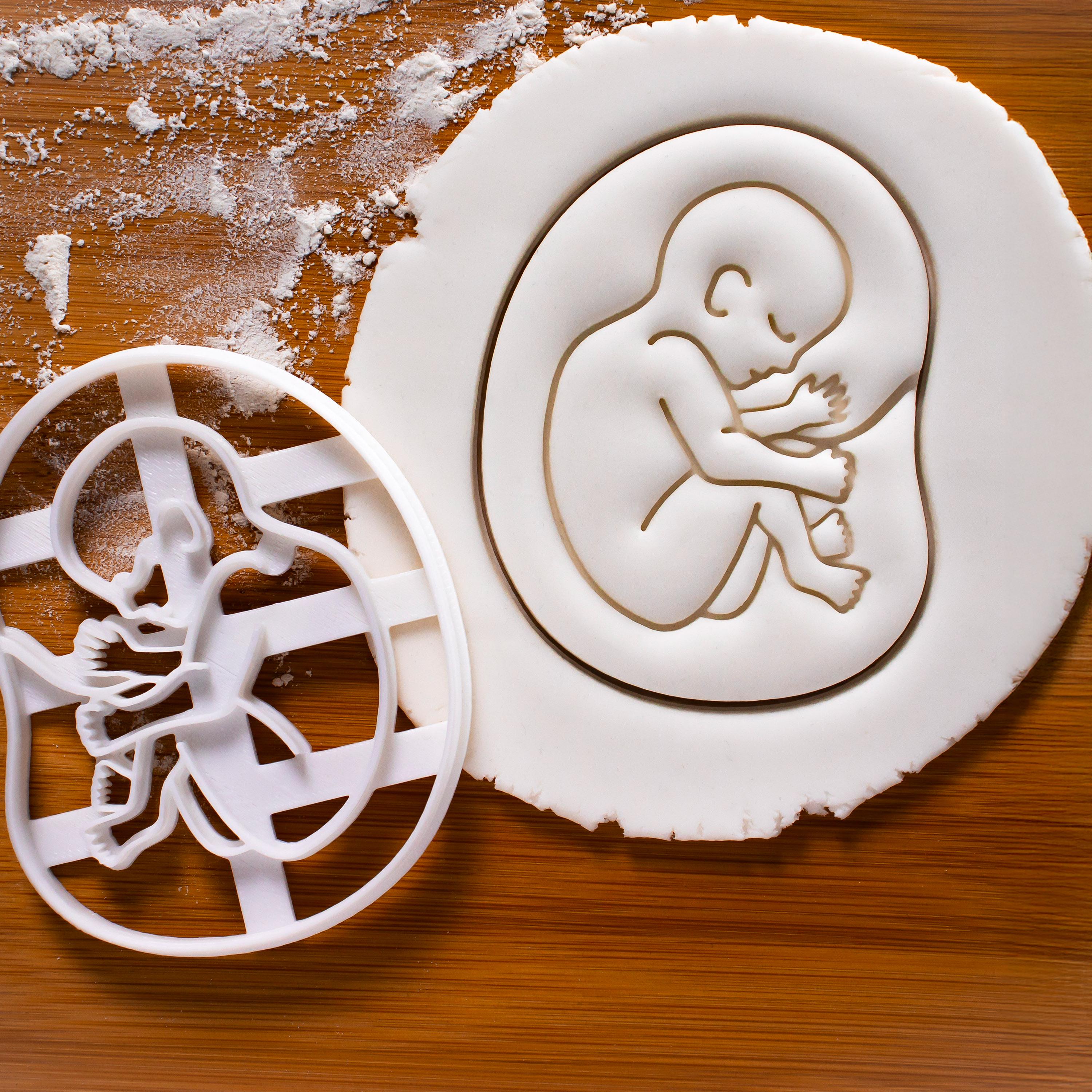 20-week Fetal Development Cookie Cutter: Pregnancy Announcement - Etsy UK