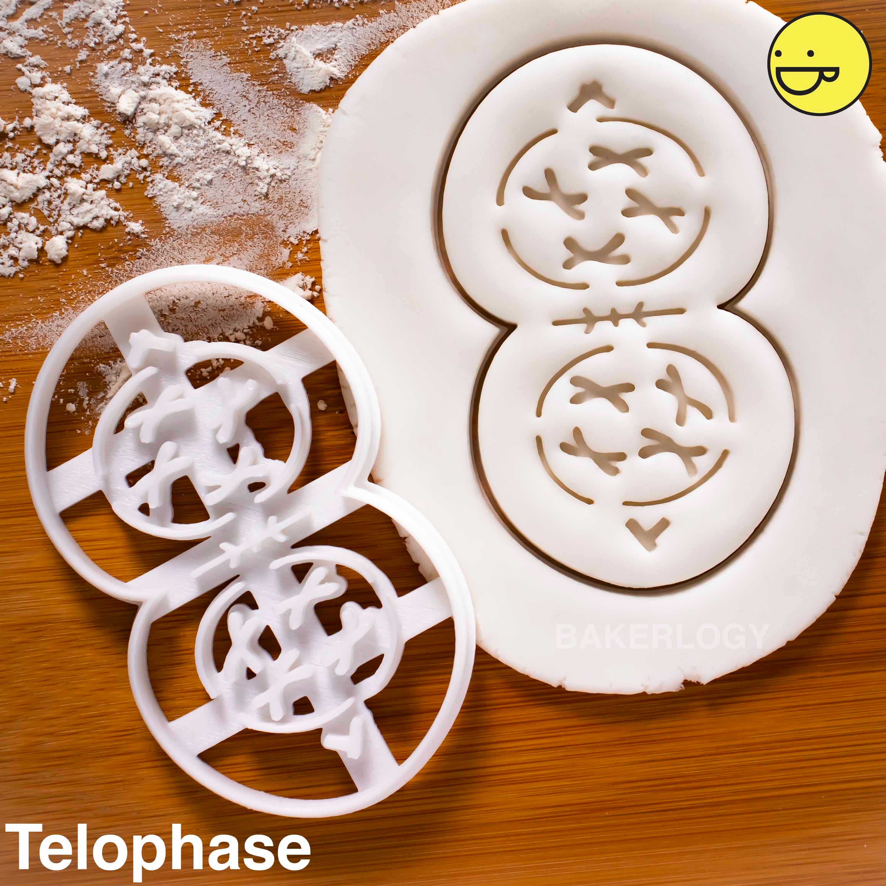 Meiosis I Prophase I Cookie Cutter Bakerlogy Biscuit Cutters | Etsy UK