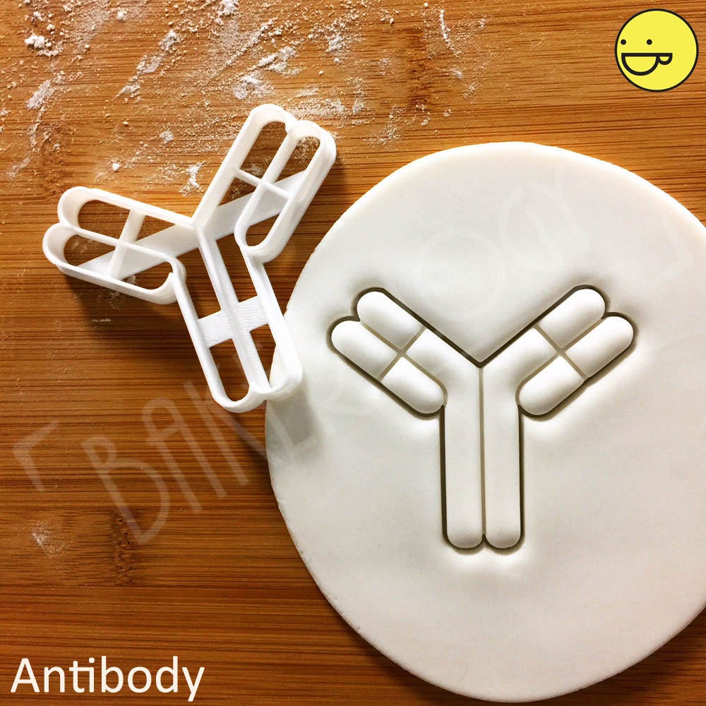 Antibody cookie cutter Immunoglobulin biscuit cutters Ig | Etsy