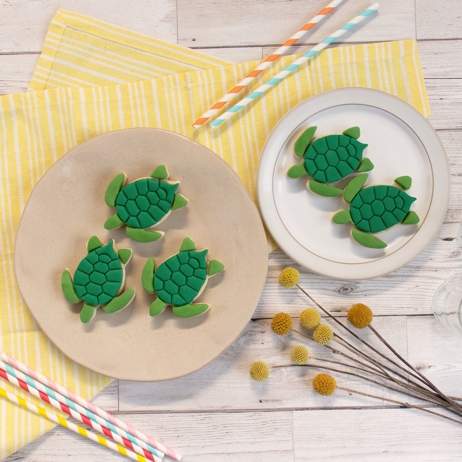 Sea Turtle Cookie Cutter Green Sea Turtles With Scutes - Etsy Australia