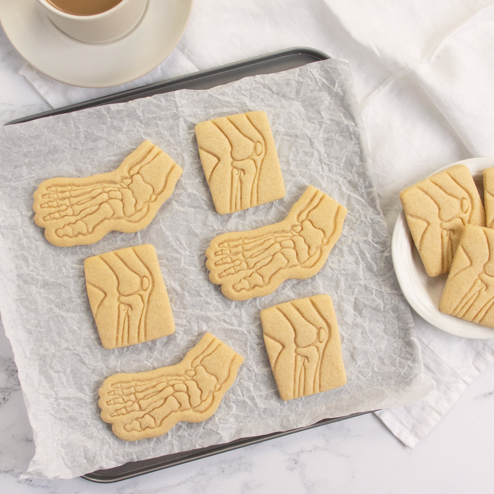 Anatomical Human Foot Cookie Cutter – Podiatry Shape for Medical ...