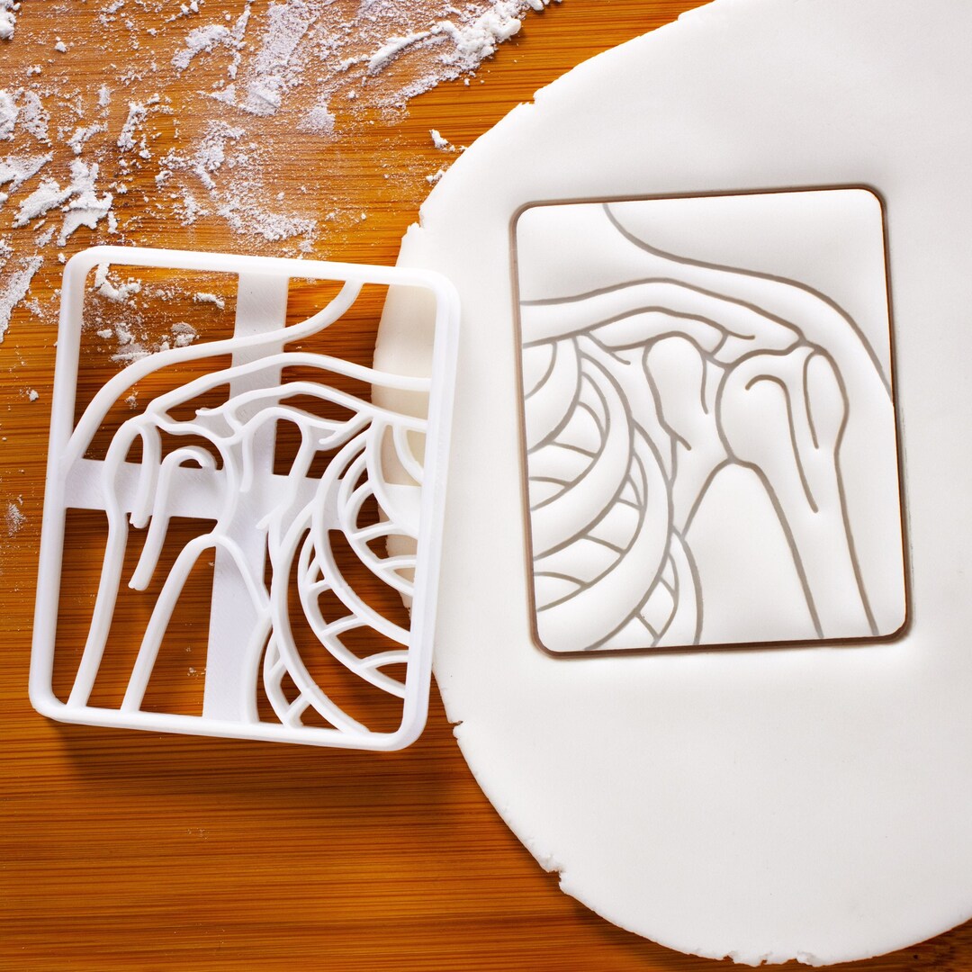 Shoulder X-ray Cookie Cutter – Human Anatomy Shape for Medical Student ...