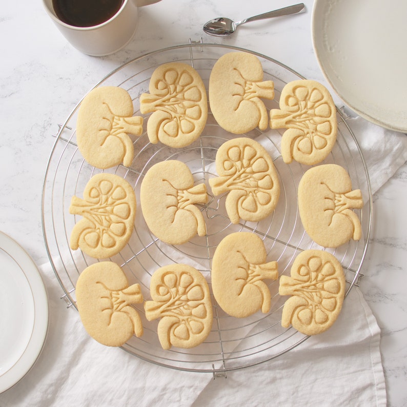 Internal Kidney Cookie Cutter Anatomical Gifts Medical - Etsy