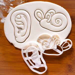 Anatomical Human Ear Cookie Cutter – Medical Student, ENT Doctor ...