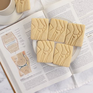 X-ray Knee Bone Cookie Cutter – Human Anatomy, Skeleton, Medical Theme ...