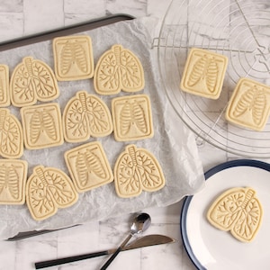 Lungs Cookie Cutter: Human Anatomy Design for Medical Students ...