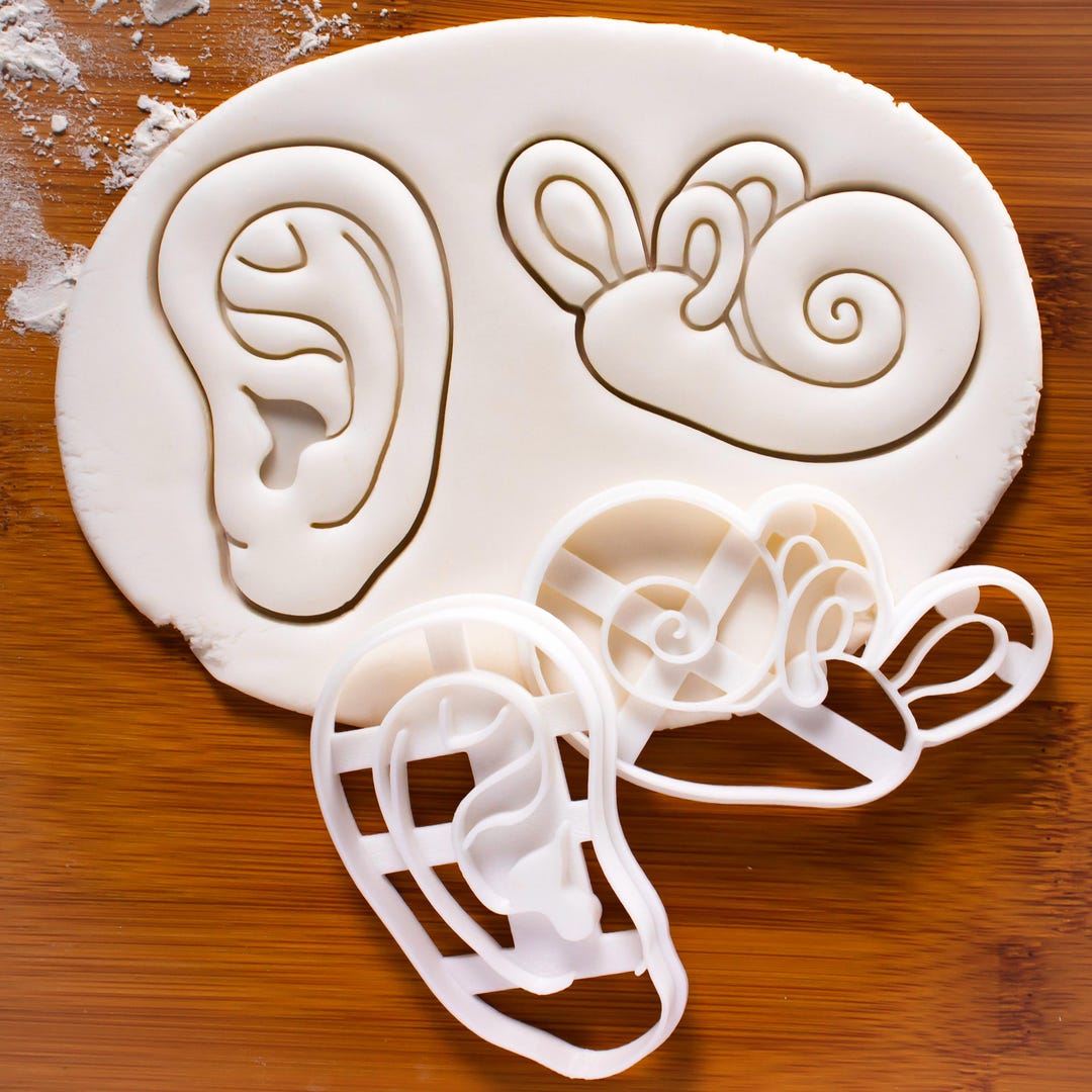 Anatomical Ear Cookie Cutter: Cochlea & Outer Ear - Etsy