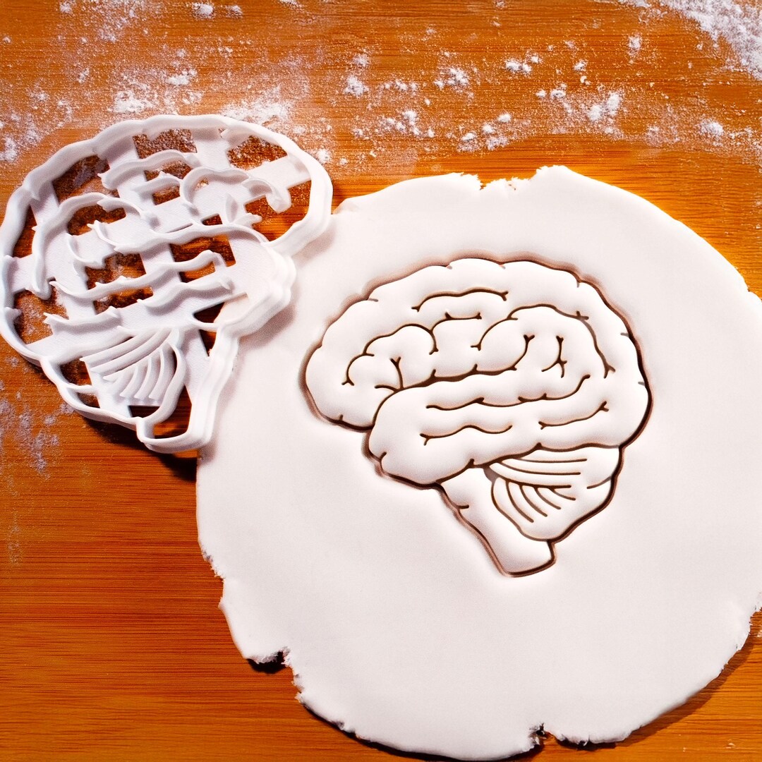 Anatomical Brain Cookie Cutter (lateral View): Science & Medical ...
