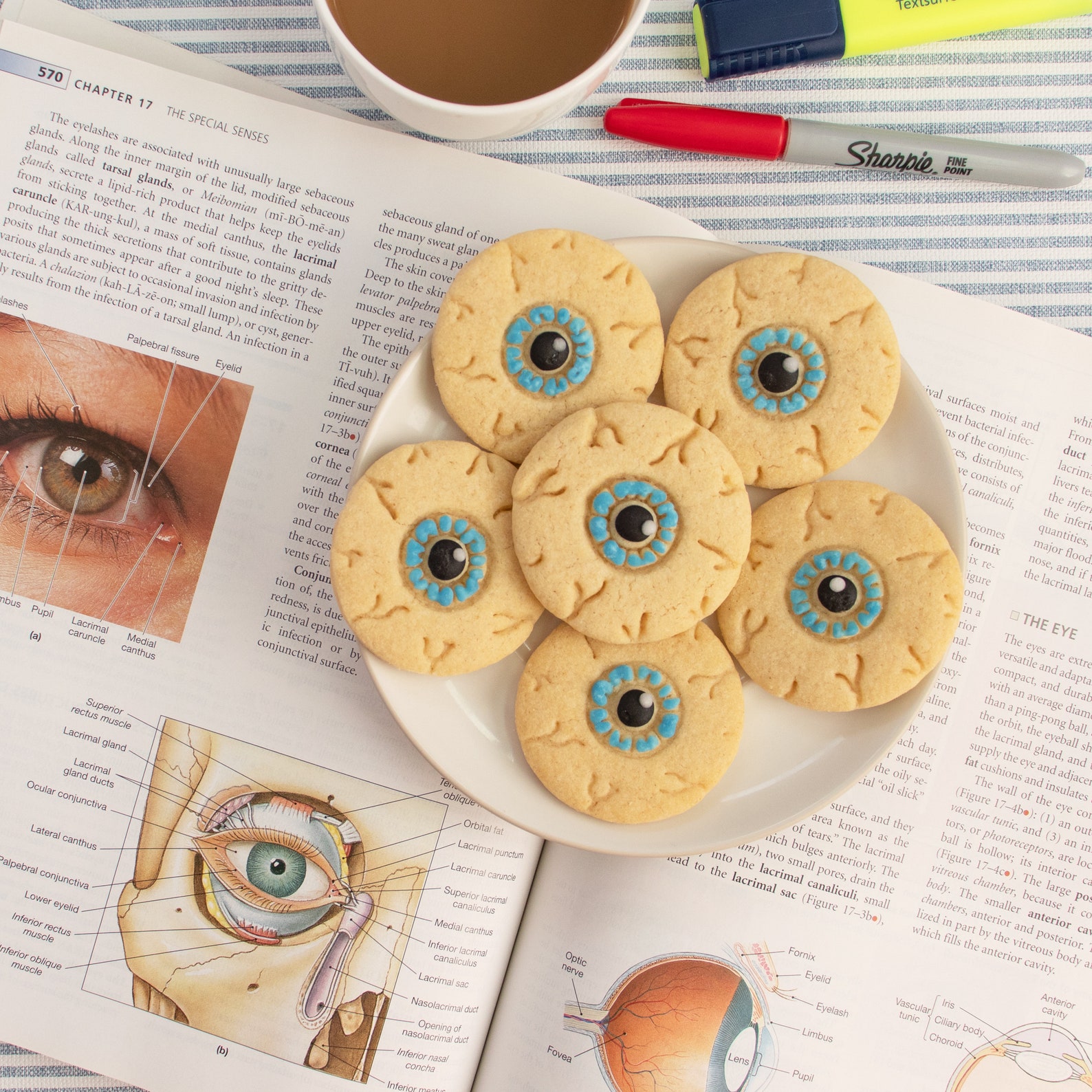 Anatomical Eyeball Cookie Cutter Eye Biscuit Cutters Gifts - Etsy