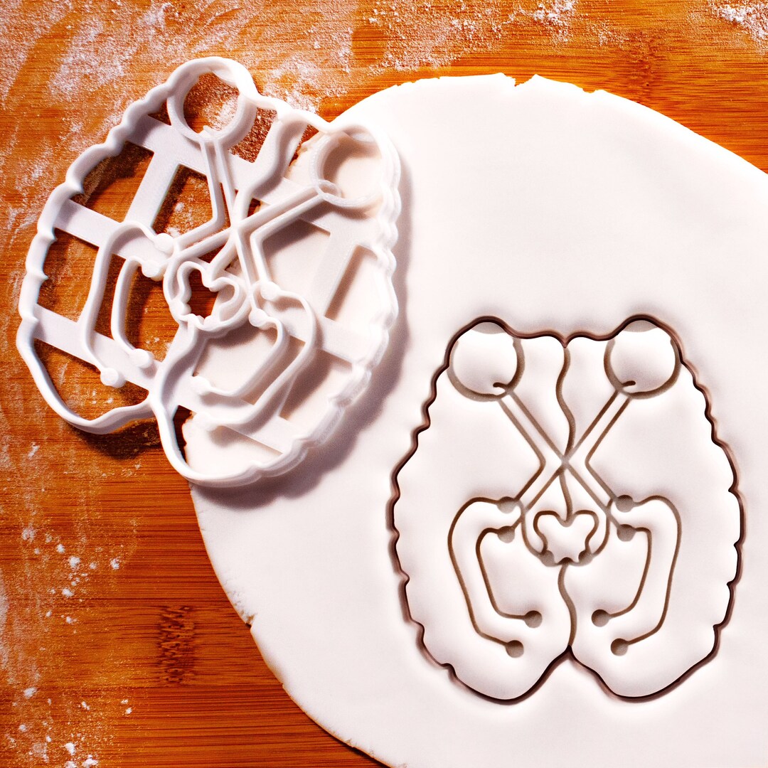 Human Visual System Cookie Cutter - Neuroanatomy Delight, Intricate ...
