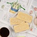 Spinal Transverse Cookie Cutter Bakerlogy Biscuit Cutters Central ...