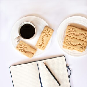 Neuron Cookie Cutter – Nerve Cell Anatomy Shape for Brain, Medical ...