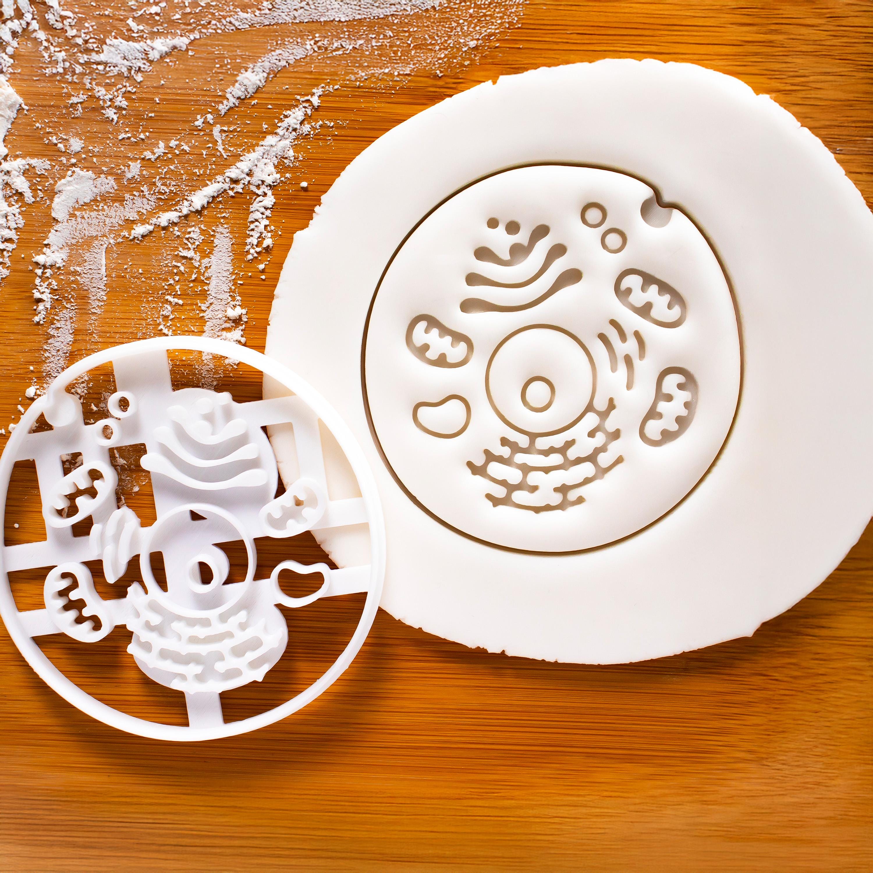 Human Cell Cookie Cutter – Biology Shape for Science, Medical Student ...