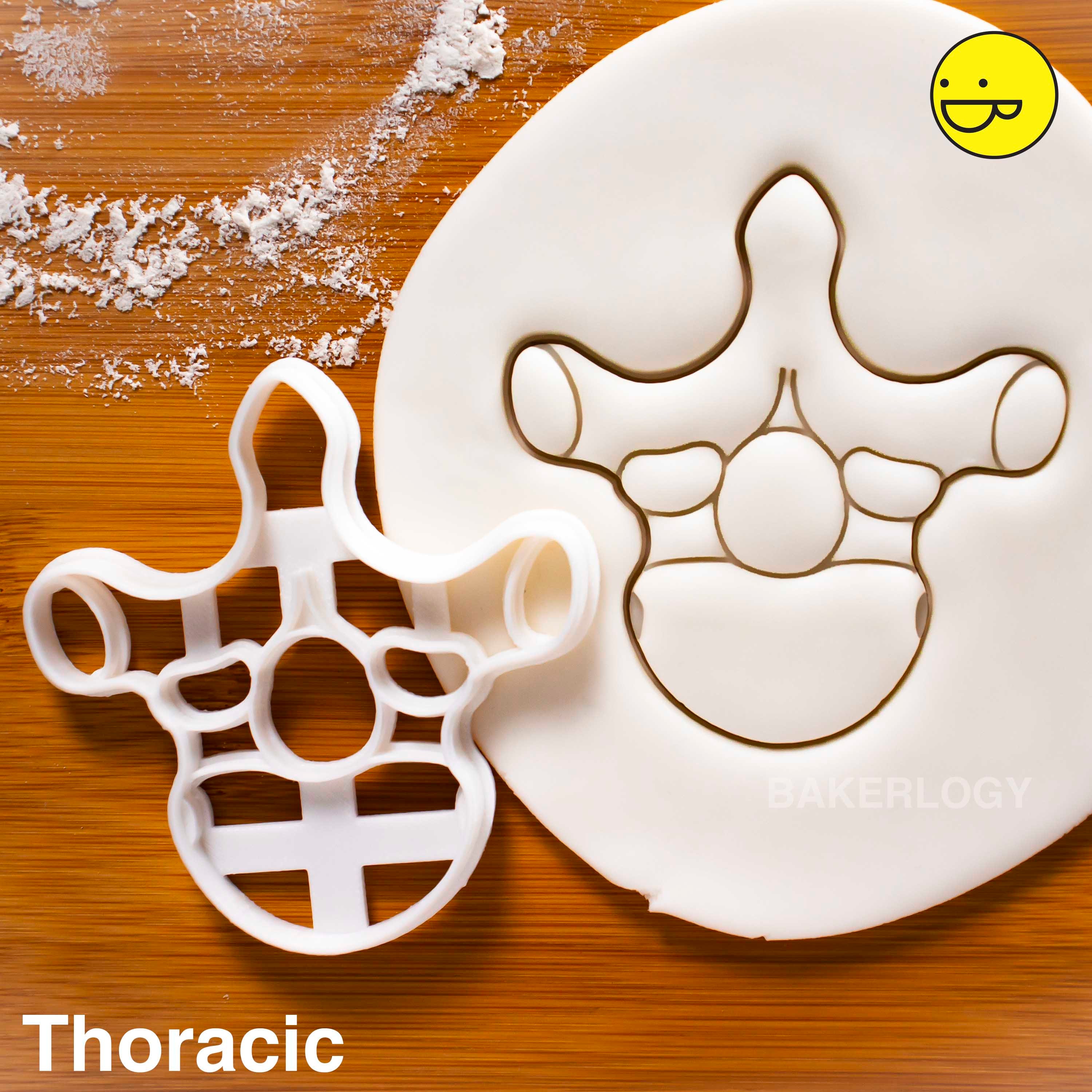 Lumbar Vertebra Cookie Cutter Medical Science Human Spine | Etsy UK