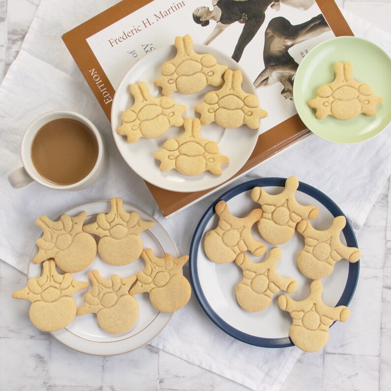 Lumbar Vertebra Cookie Cutter Medical Science Human Spine - Etsy