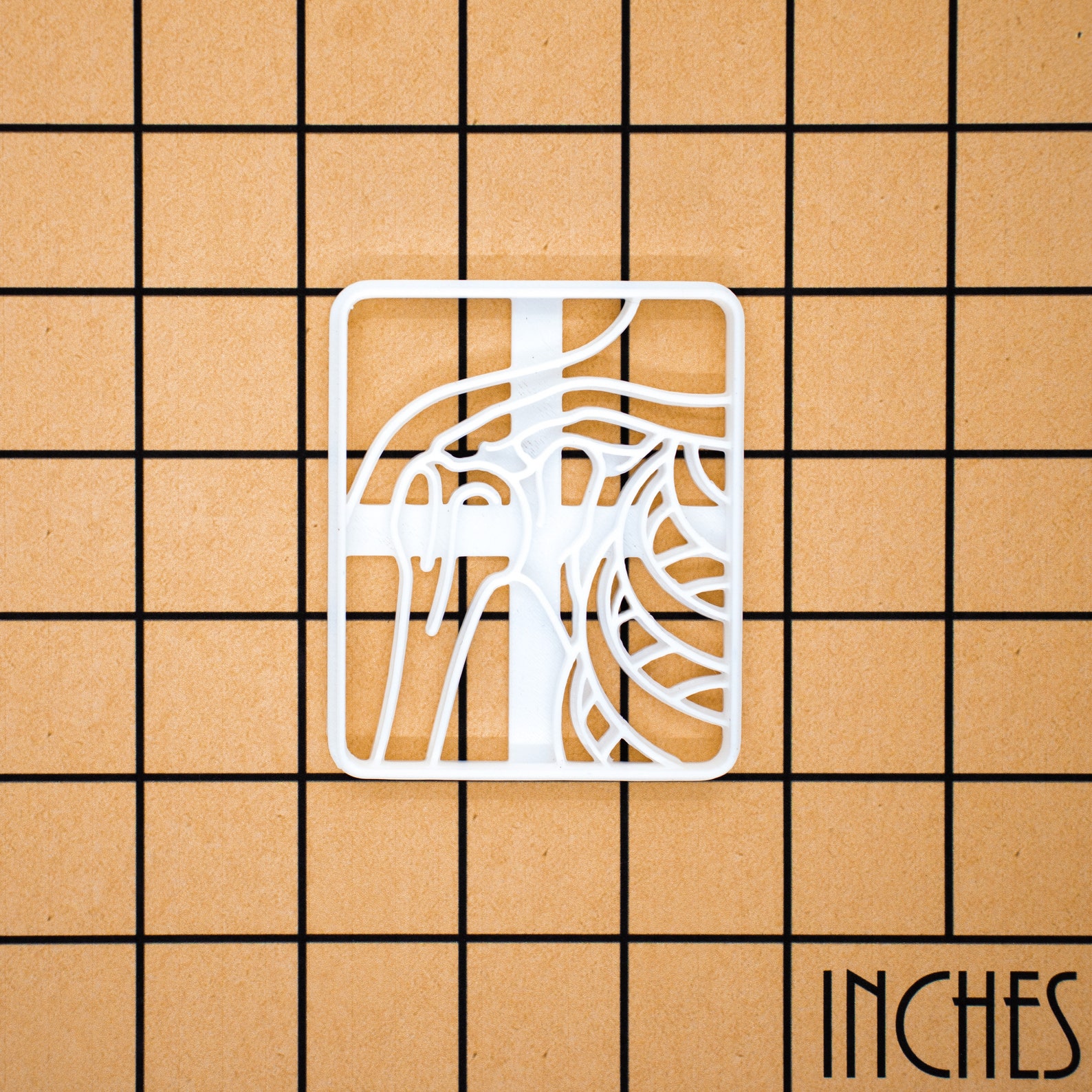 Shoulder X-ray Cookie Cutter – Human Anatomy Shape for Medical Student ...