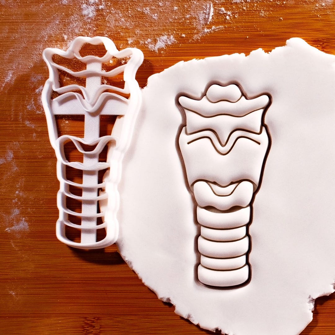 Larynx Anterior View Cookie Cutter – Anatomical Baking Tool for ENT ...