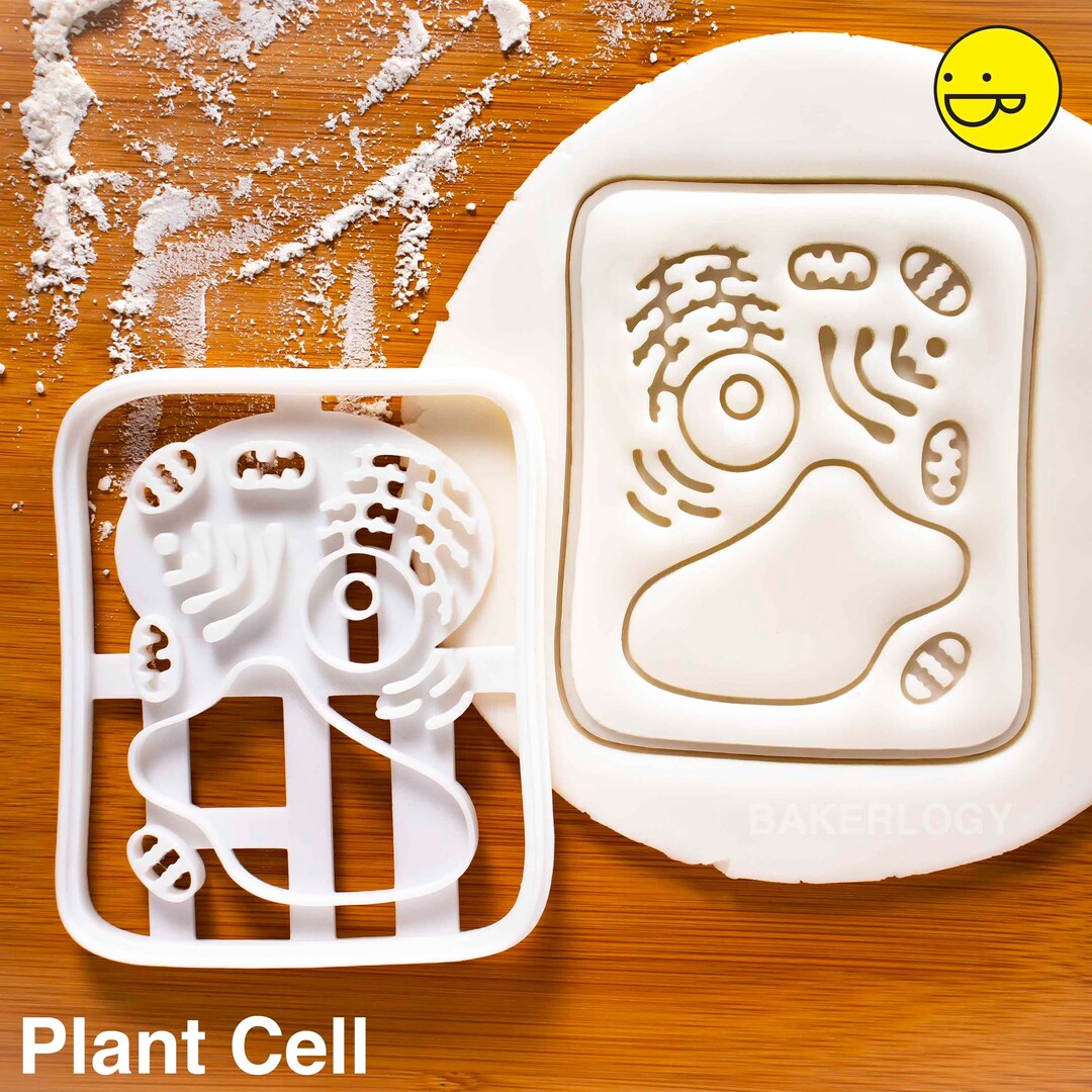 Plant Cell Cookie Cutter Biscuit Cutters Gifts Botanist Botany ...