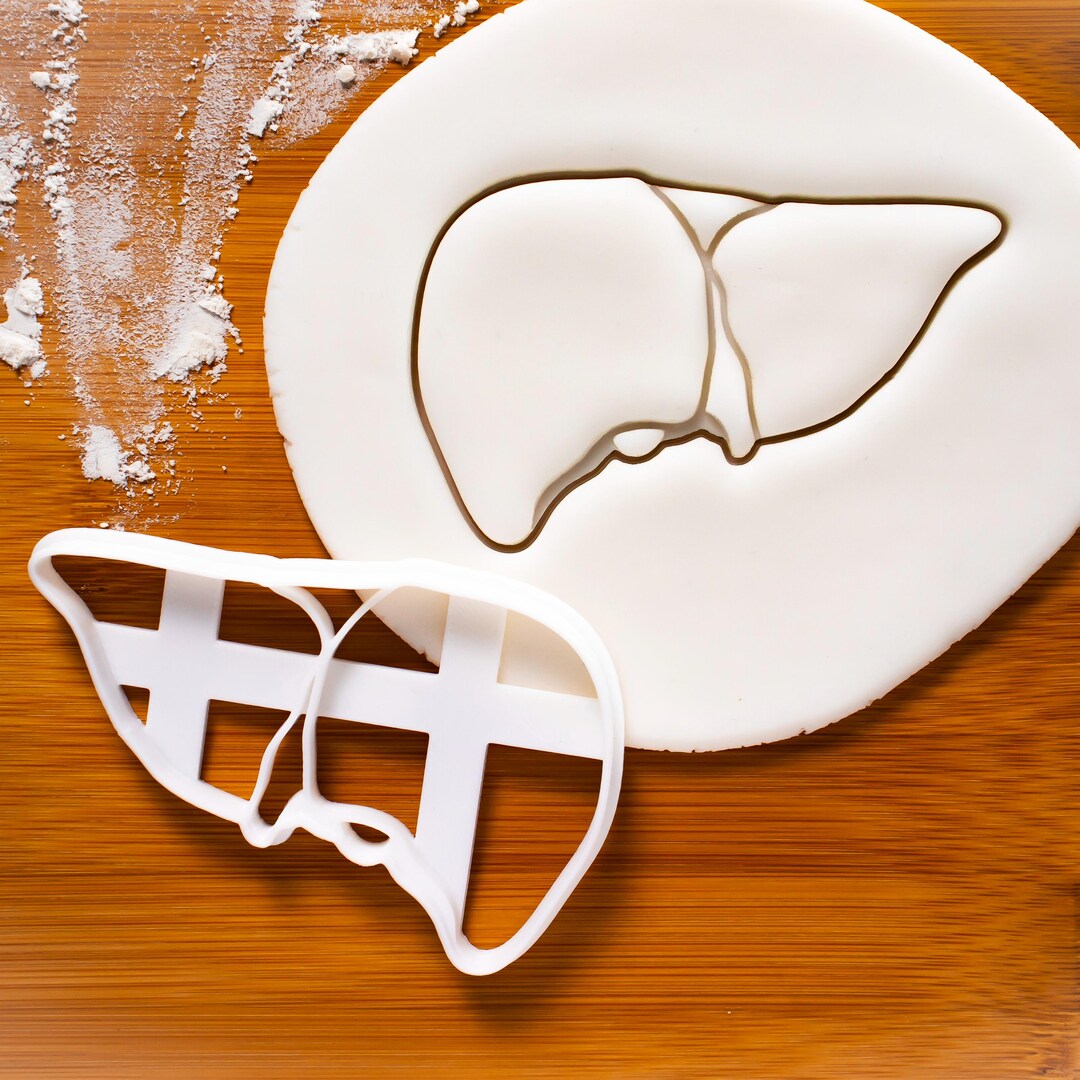 Liver Cookie Cutter: Human Anatomy Design for Medical Students ...